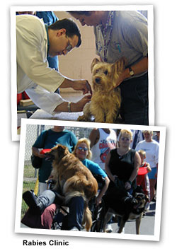 rabies-clinic | Niagara Frontier Veterinary Society